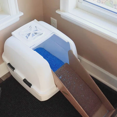 Purrfectly Clean Paws®: Litter Trapping, Scratcher, Cat Litter Box Ramp ...