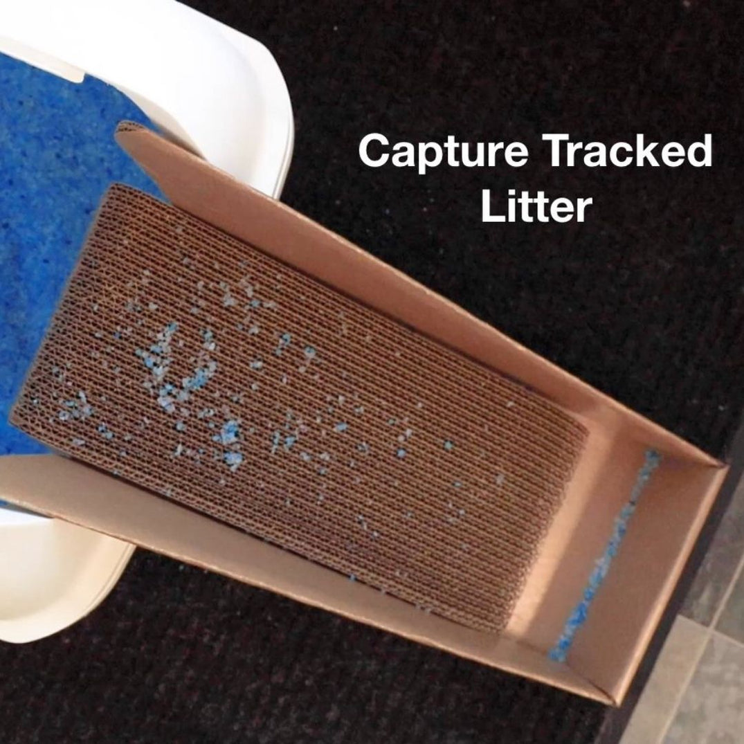 Purrfectly Clean Paws®: Litter Trapping, Scratcher, Cat Litter Box Ramp ...